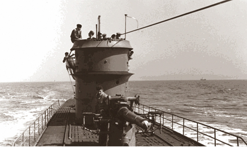 U166 (1942) | HamdanLab