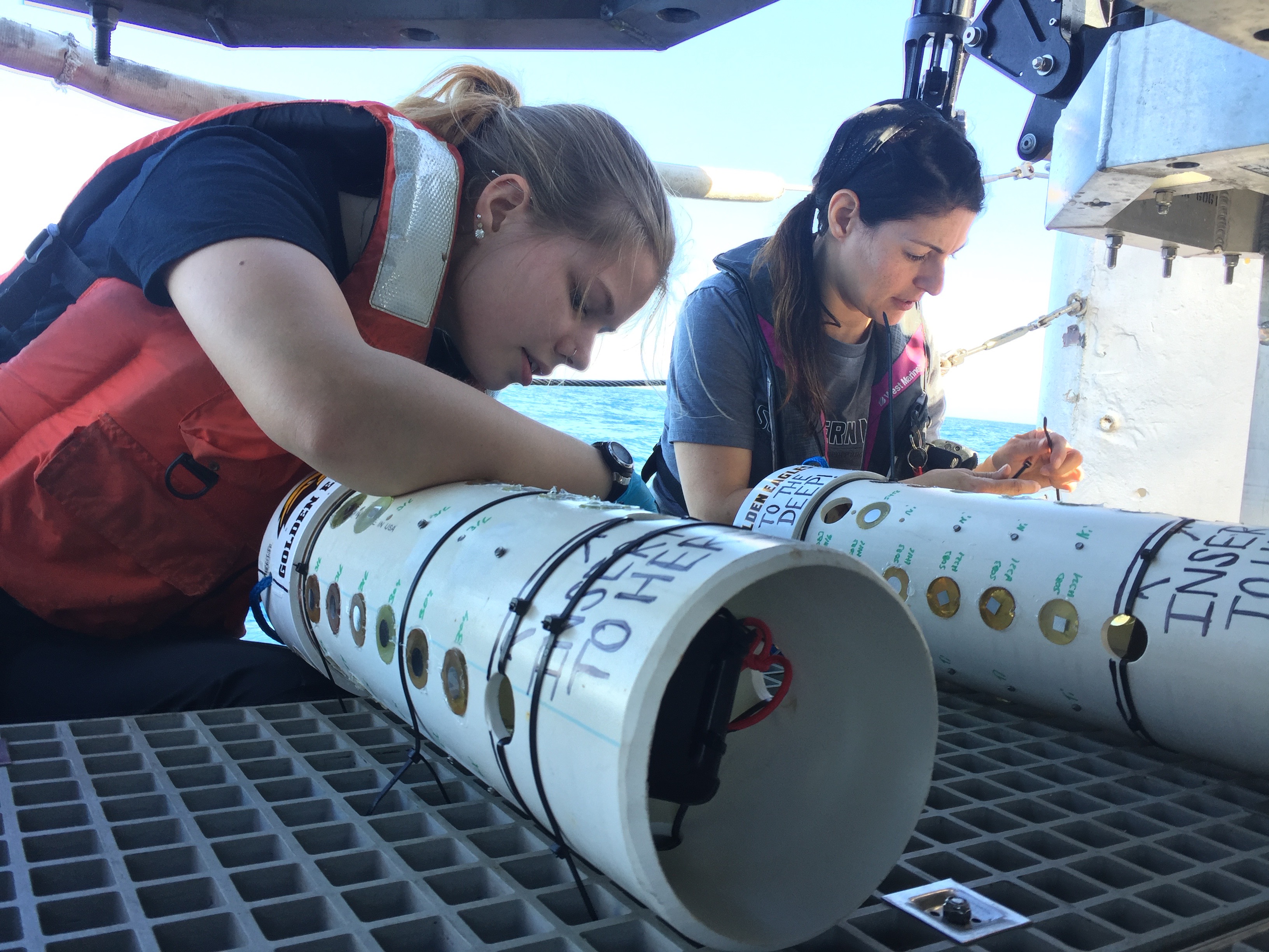 Southern Miss to the Deep- Success at the Sea Floor | HamdanLab